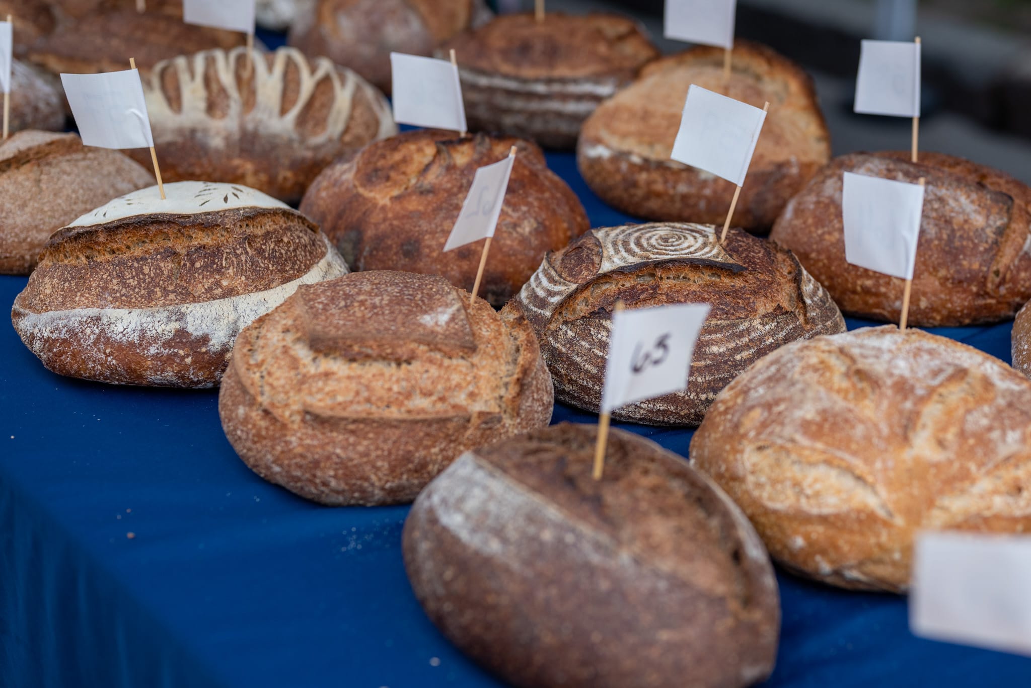 July 2023 | The Recipe Log